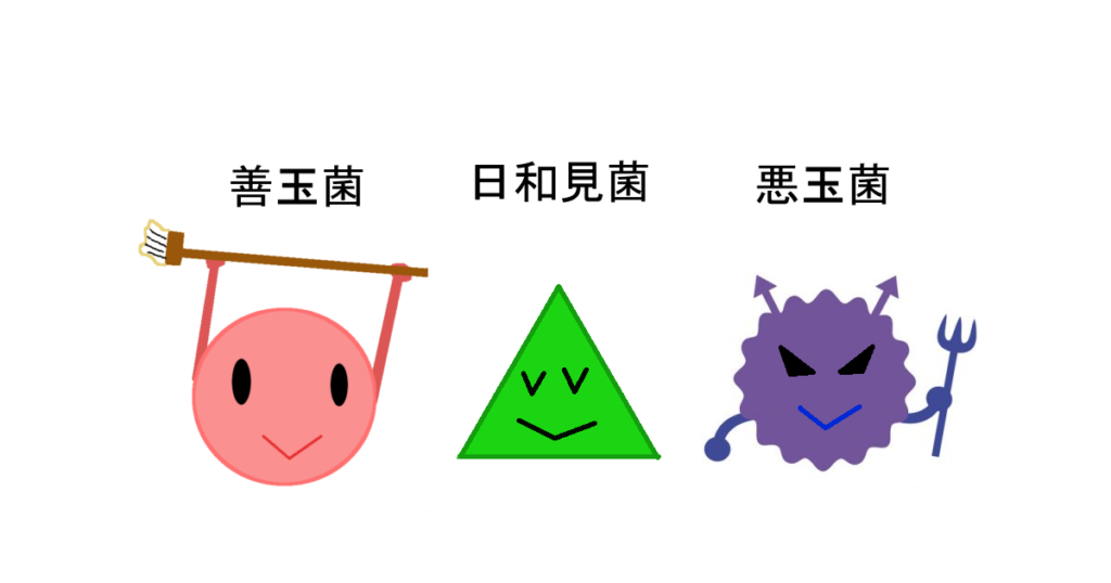 善玉菌、日和見菌、悪玉菌の作用！腸活で腸内フローラを改善 健モテ ドットコム